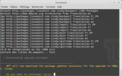 Comment mettre à niveau vers LMDE 3 depuis LMDE 2 - Numétopia