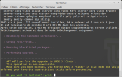 Comment mettre à niveau vers LMDE 3 depuis LMDE 2 - Numétopia
