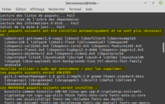 Comment mettre à niveau vers LMDE 4 "Debbie" ? - Numétopia