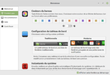 Comment installer Linux Mint 20 “Ulyana” ? - Numétopia