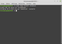 Comment installer des paquets snap sur Linux Mint ? - Numétopia