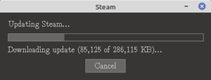 Comment installer et configurer Steam sur Linux Mint ? - Numétopia