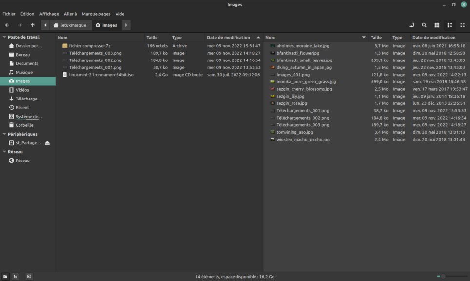 Comment personnaliser le gestionnaire de fichiers Nemo (Linux) et en ...