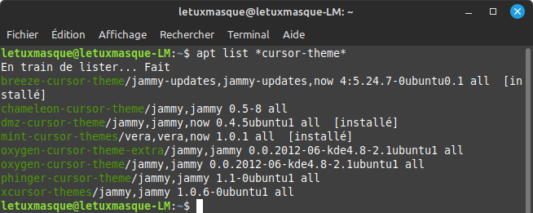 Comment changer l'apparence et le thème de Linux Mint Cinnamon - Numétopia