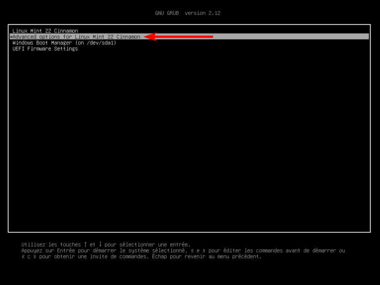 Comment installer Linux Mint 22 ? - Numétopia